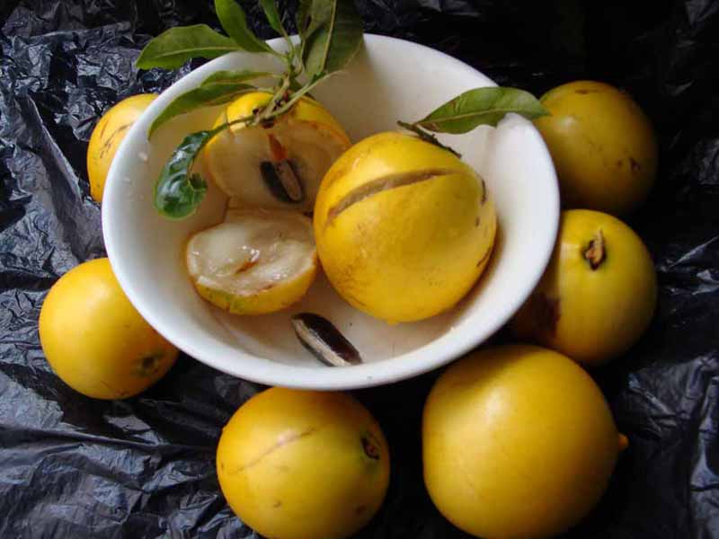 ABIU: Attenti alle labbra