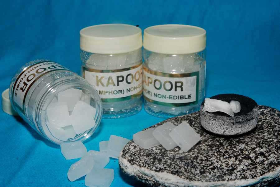 CANFORA: Cinque alberi storici