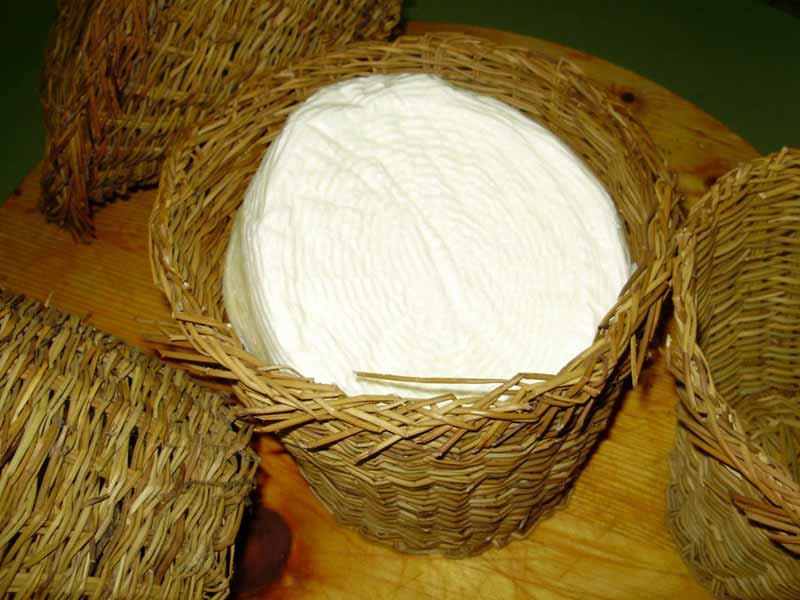 GIUNCO: Ciò che unisce