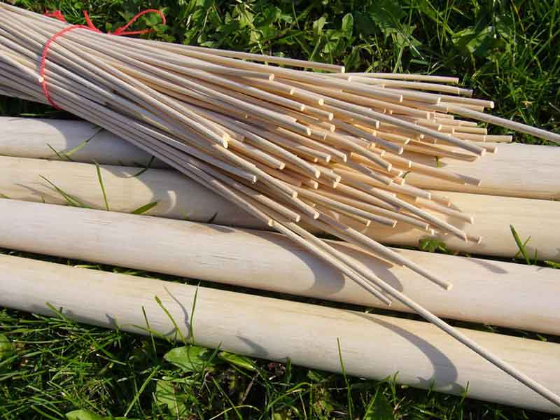 RATTAN: Rampicante come una palma